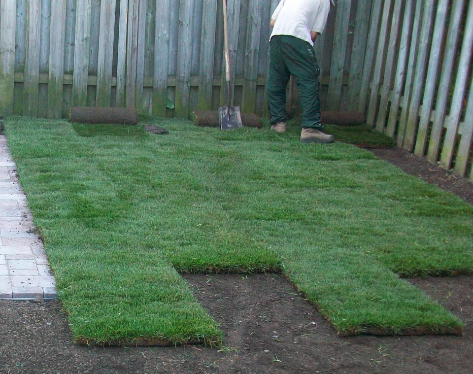 Sodding and Seeding Installation » Tropical Touch Landscaping