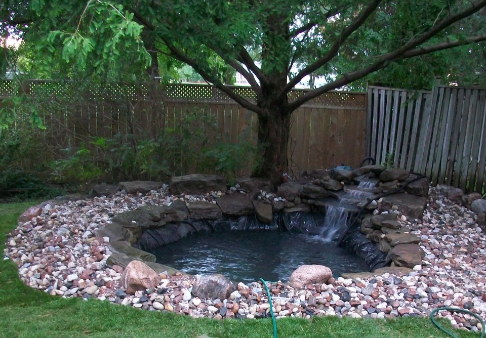 KOI Ponds, Waterfalls and Water Features » Tropical Touch Landscaping